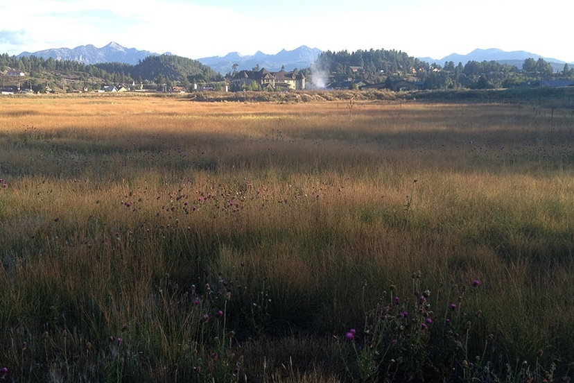 EDITORIAL: Pagosa Springs, the Blighted Community, Part Three – Pagosa ...